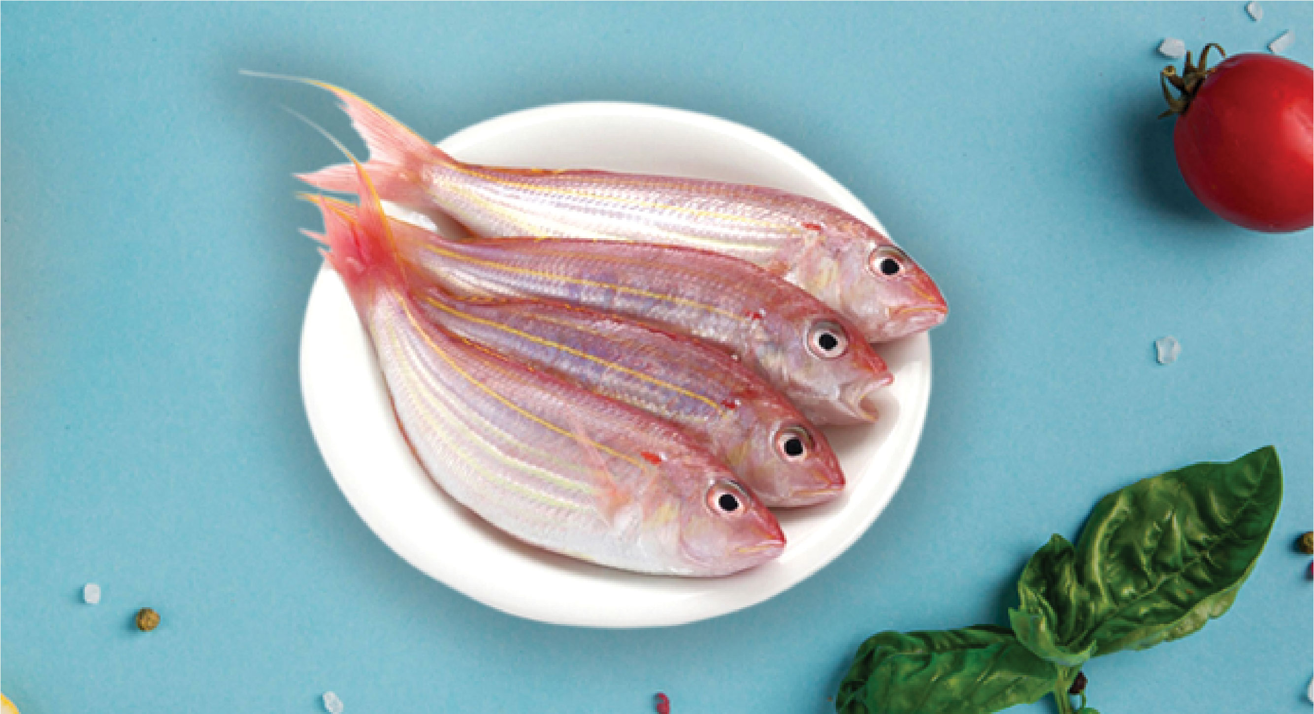 BlueFin