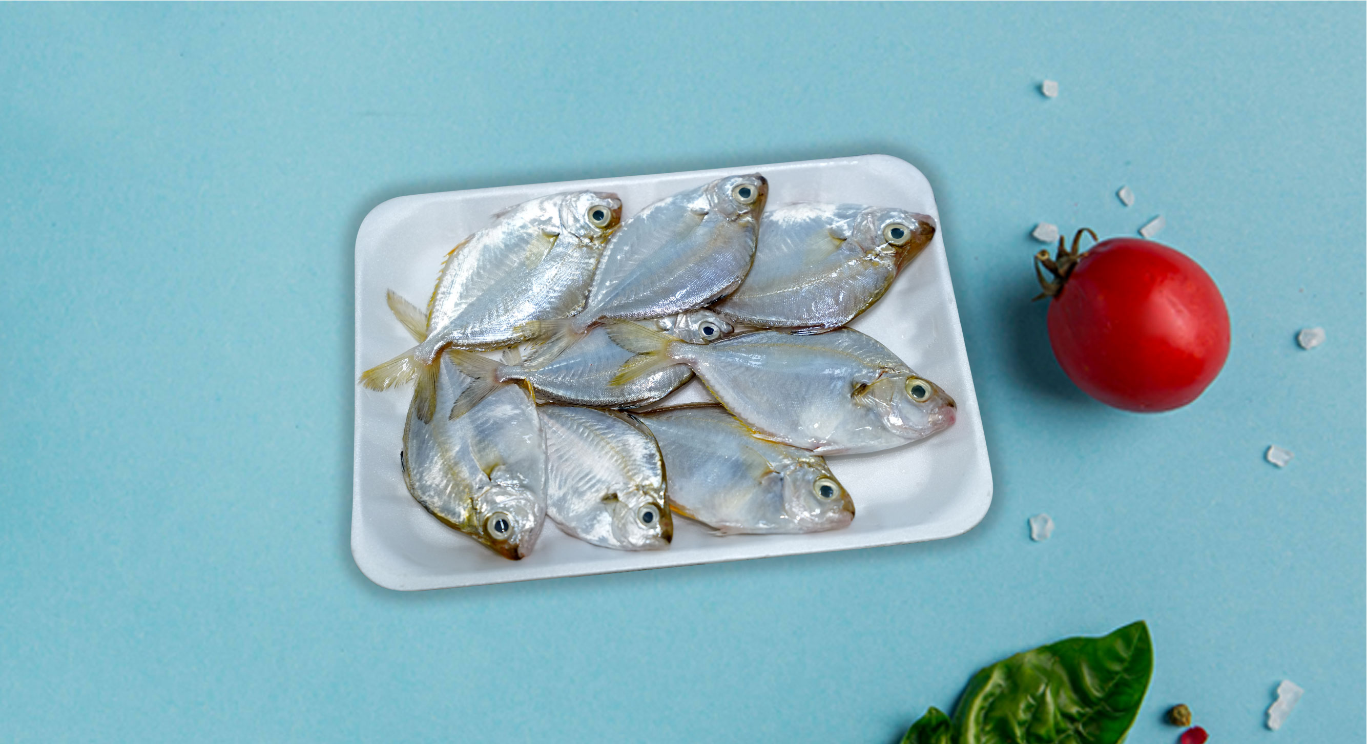 BlueFin