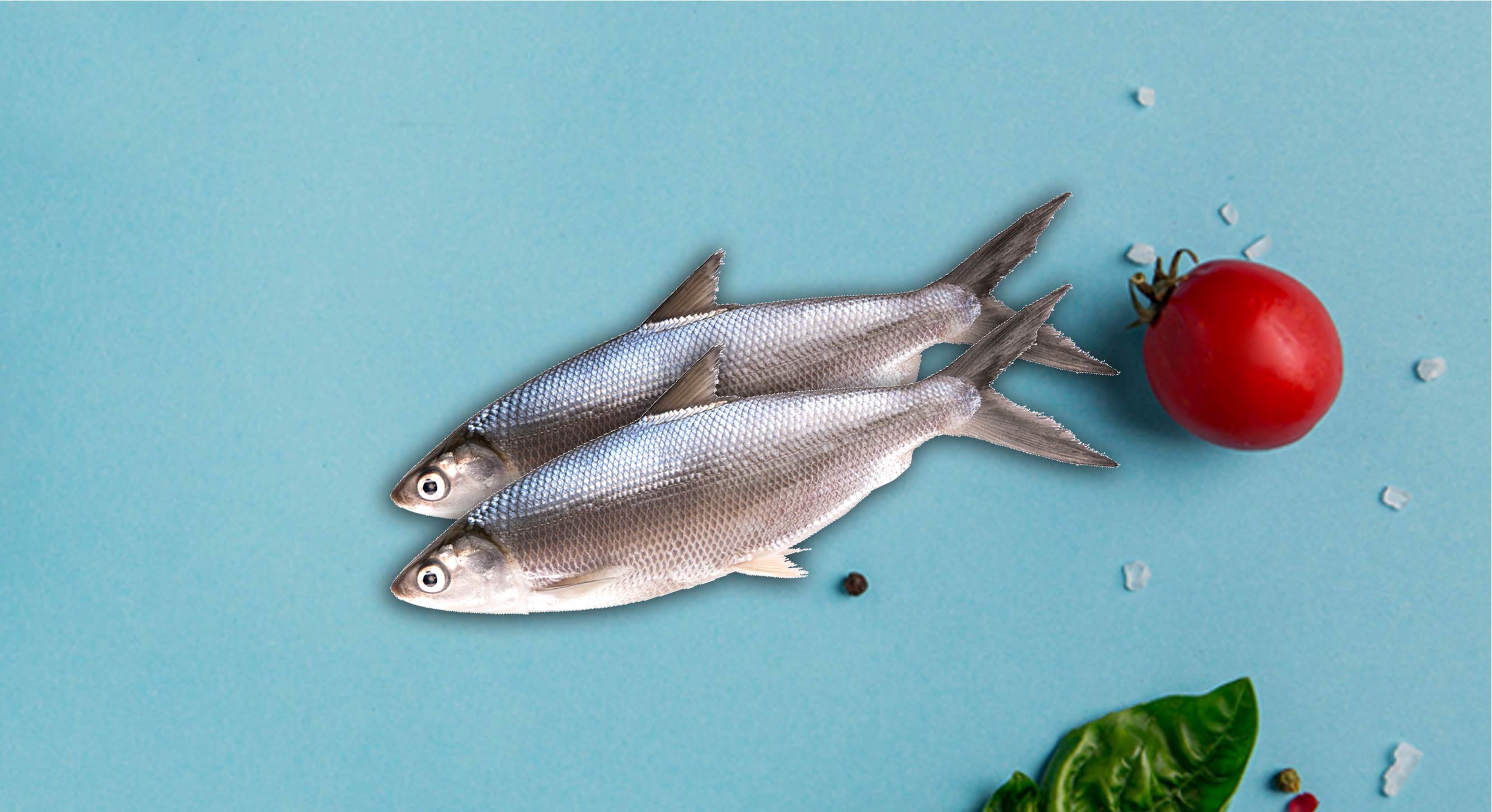 BlueFin