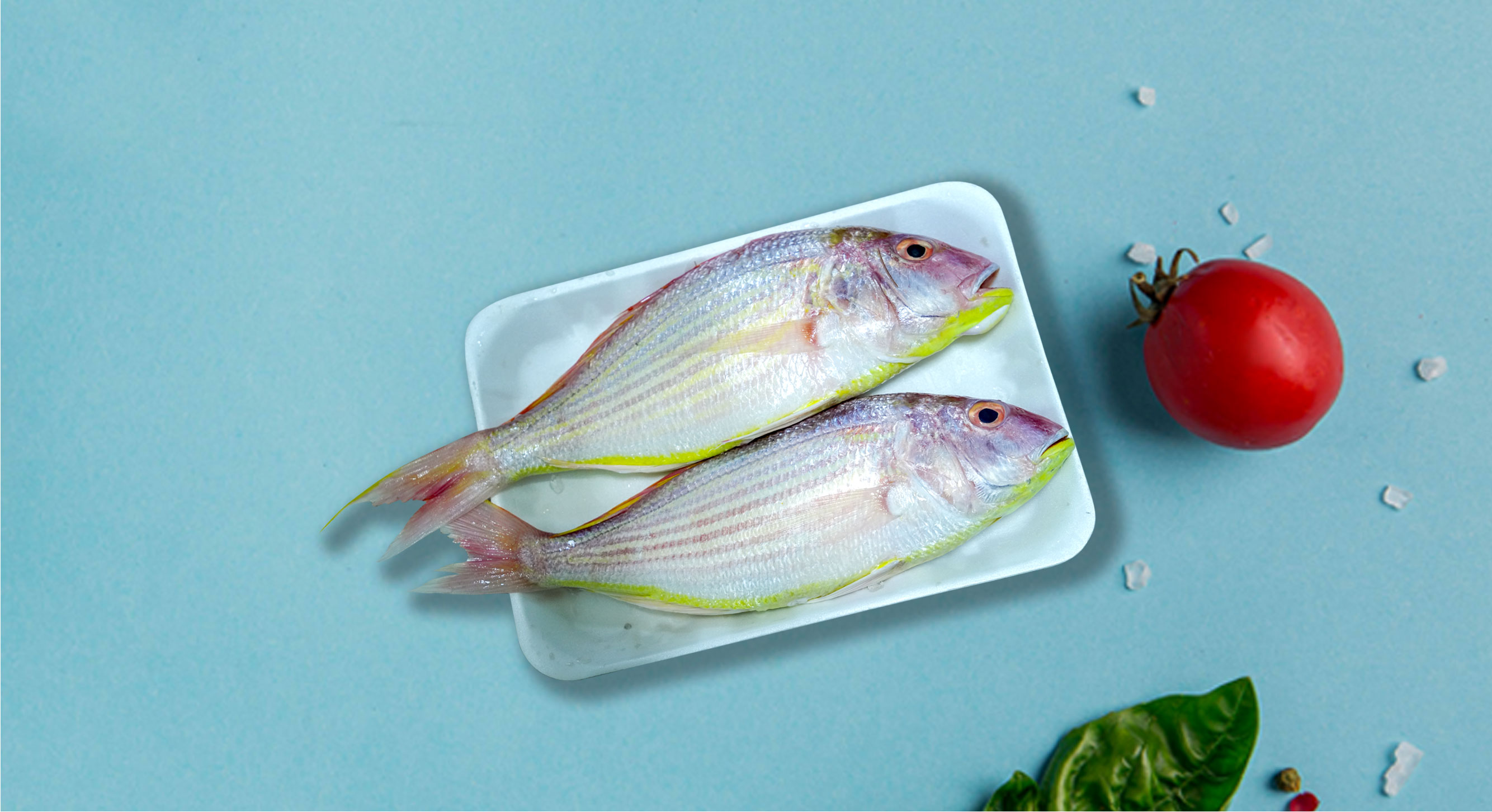BlueFin