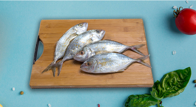 BlueFin