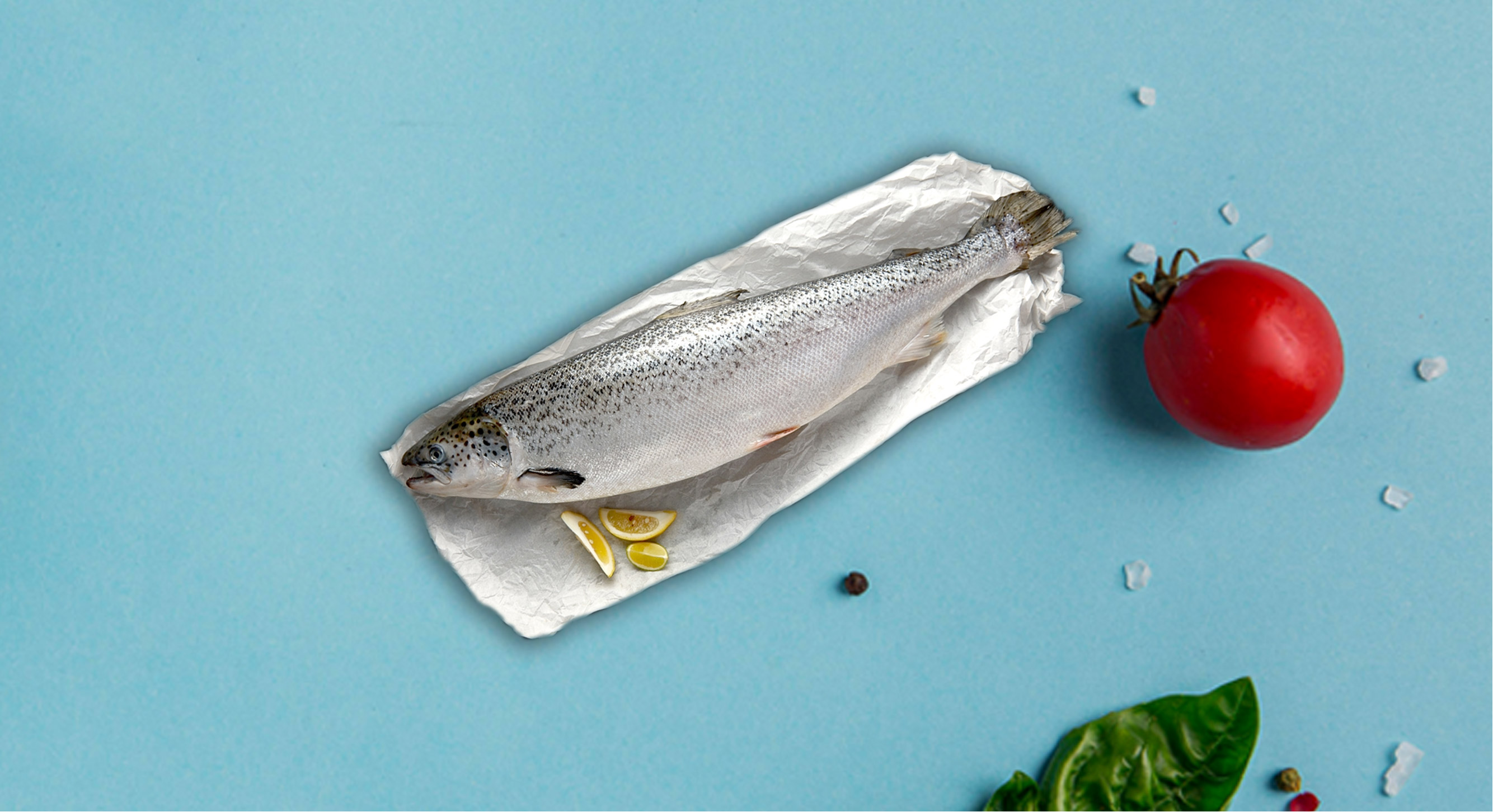 BlueFin
